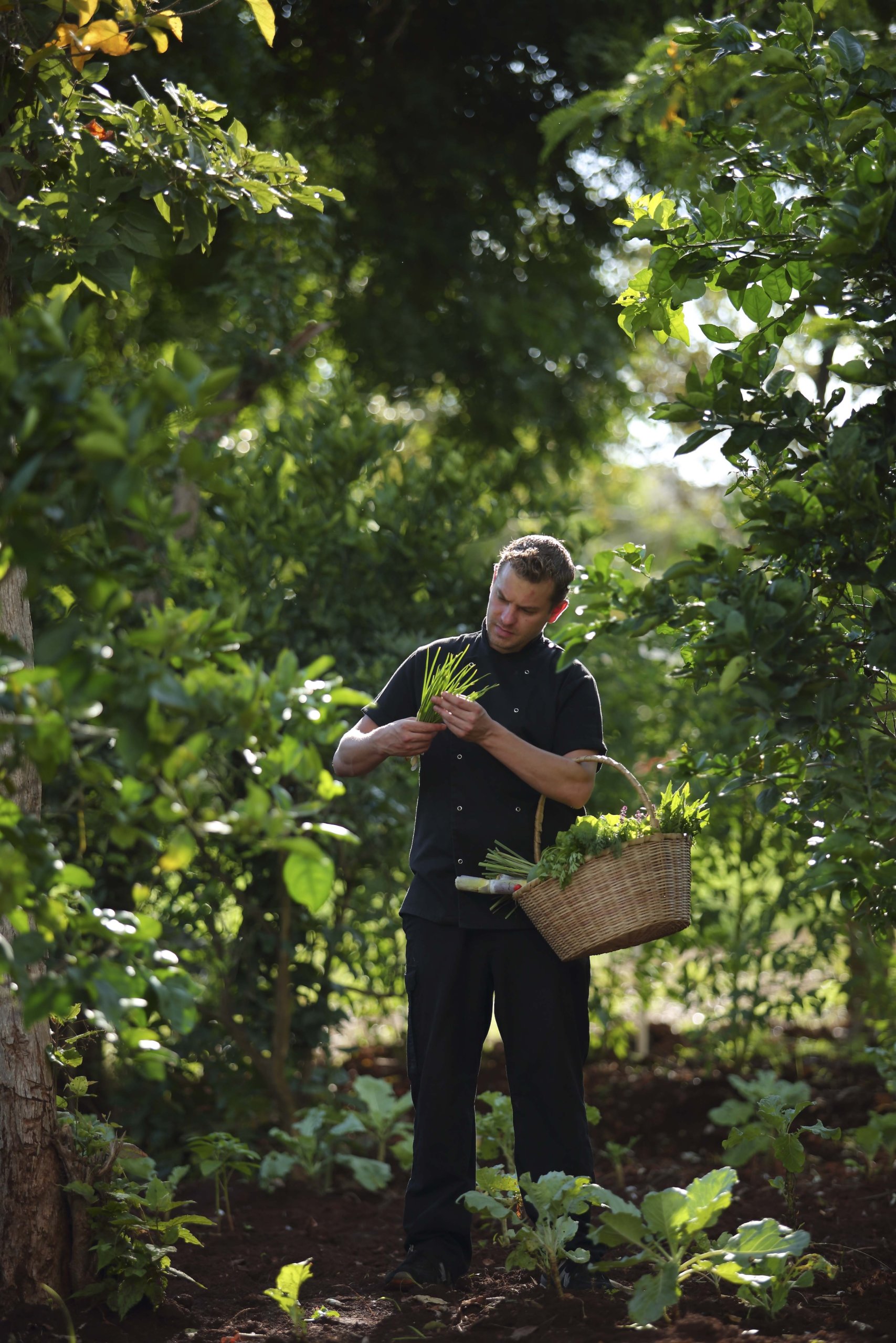 About Us - Almanara Luxury Resort Diani Beach Kenya